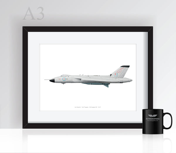 Vulcan XL317 - A2 or A3 Poster | Flyingraphics